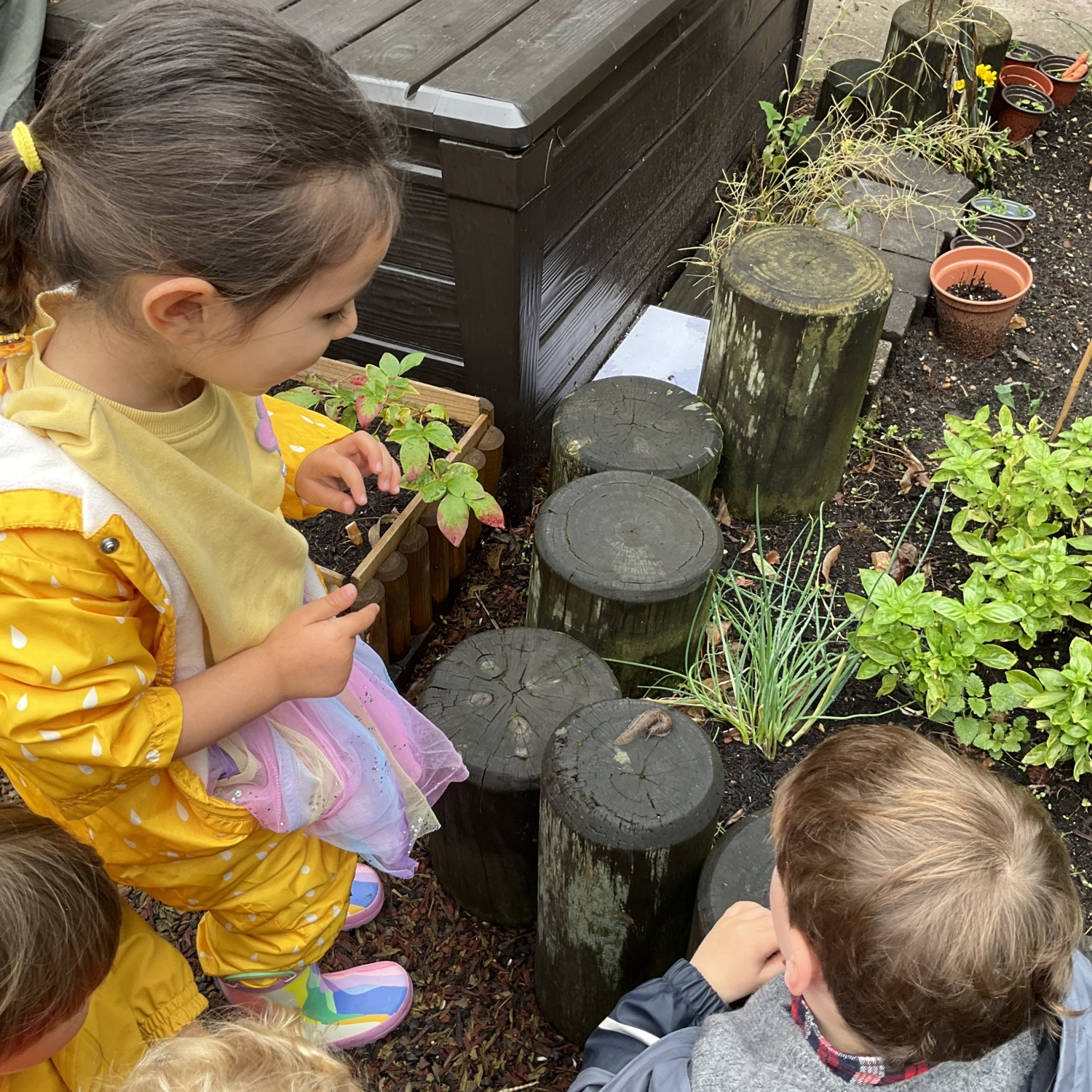Chelsea Open Air Nursery School – Chelsea Open Air Nursery School